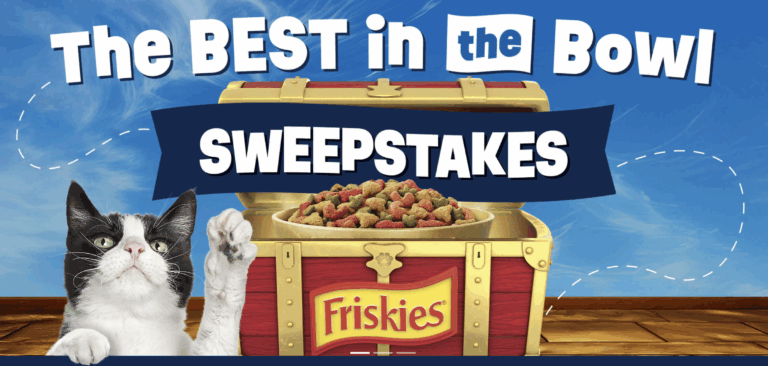 Win $20,000 or Culver’s Swag in the Daily Culver's Road Trip to ...