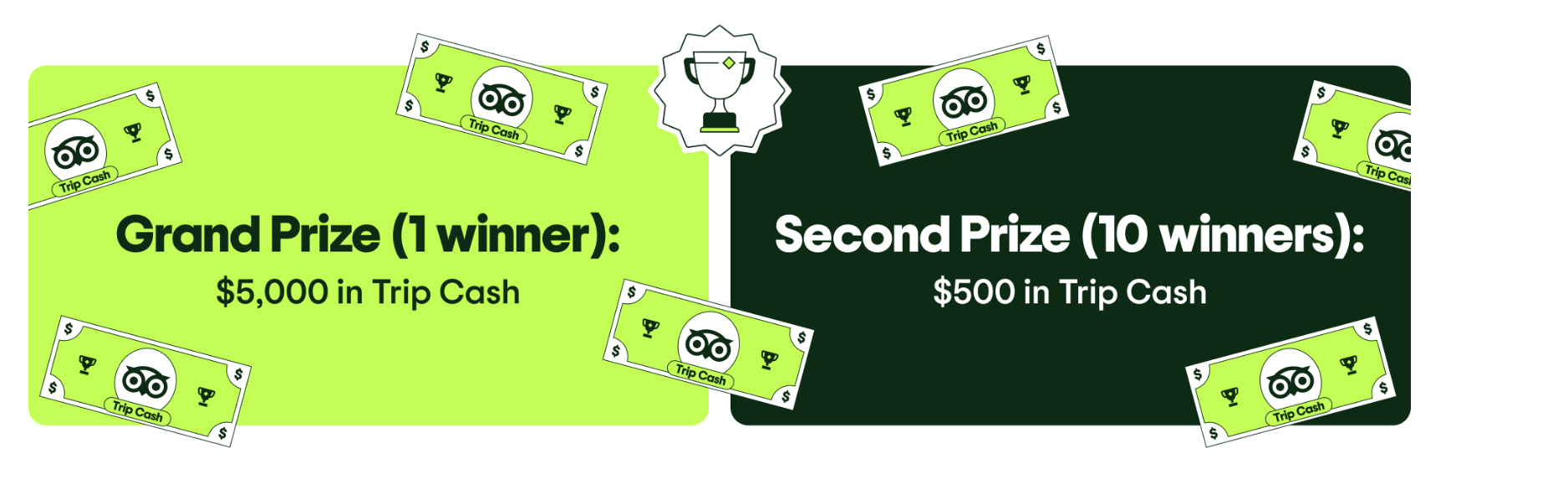 2026 Tripadvisor Taste of Summer Sweepstakes - Freebie Mom